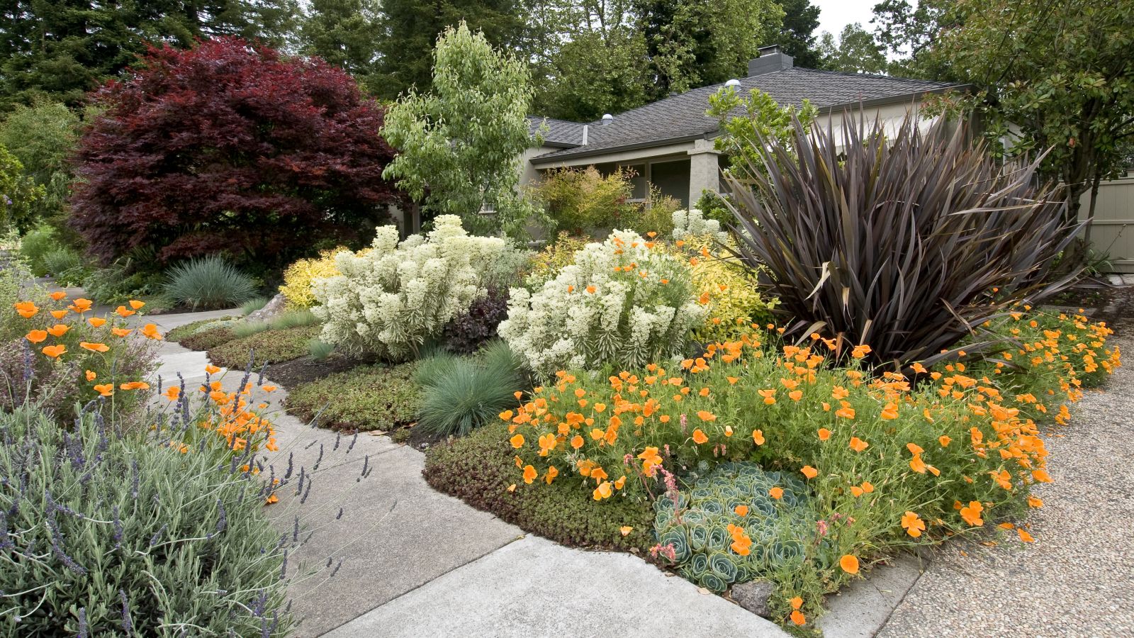 A “Fruitful” Analogy | the Search for Balance